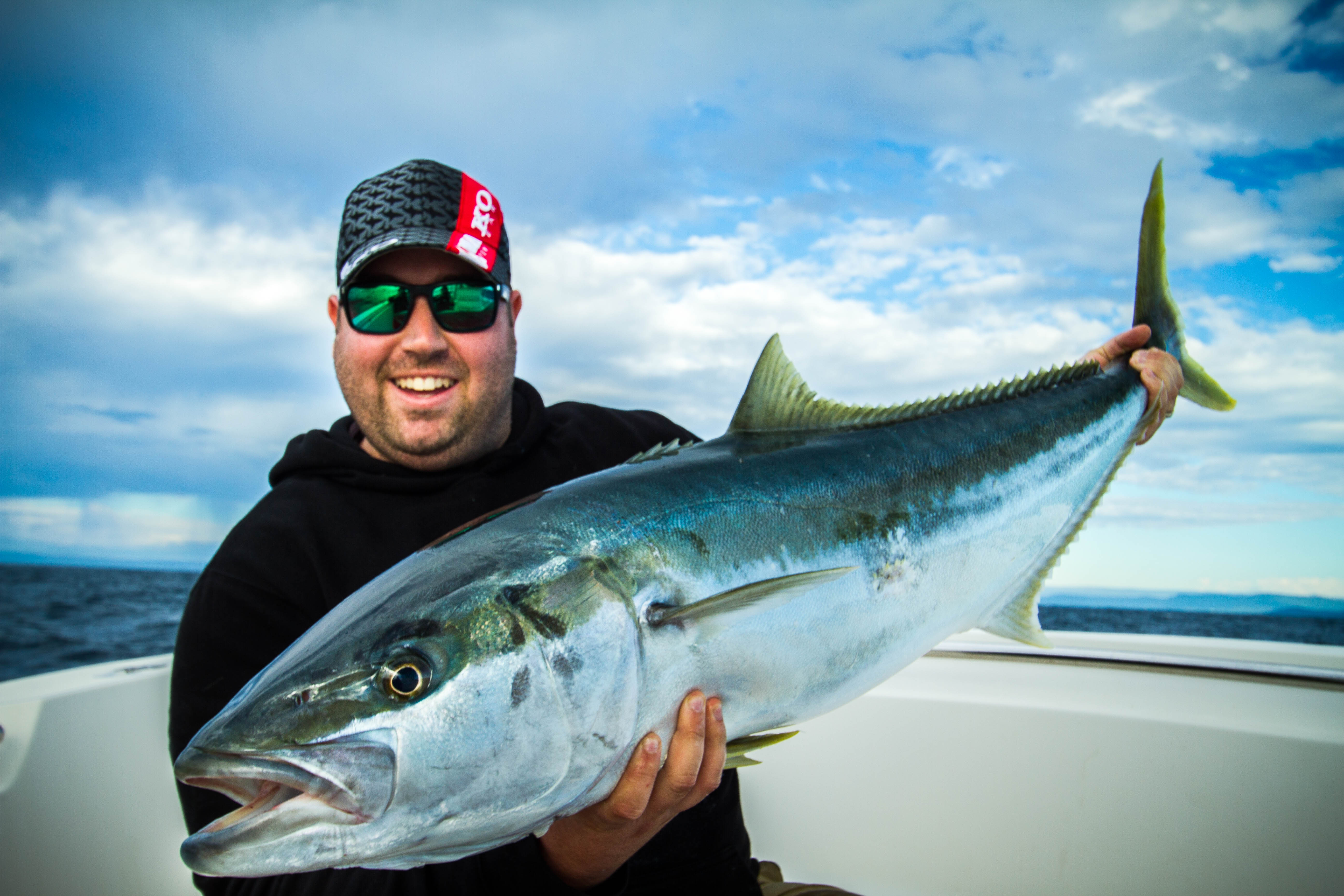 Live Baiting for Kingfish - Lure AddictsLure Addicts