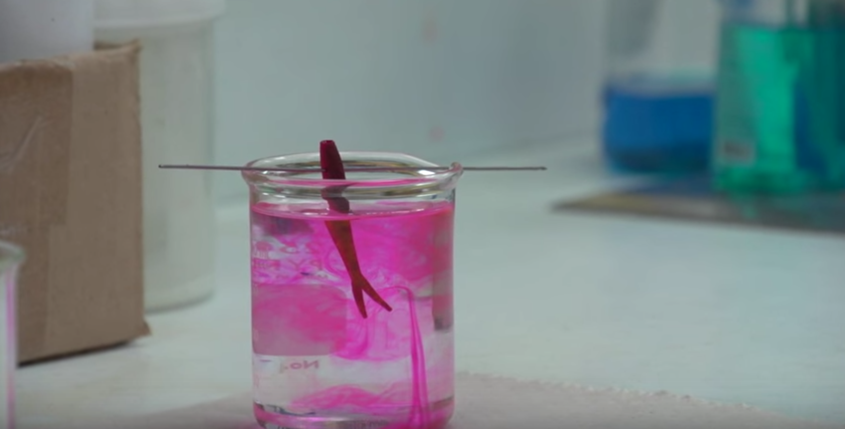 Behind the Scenes in the Berkley Factory - Lure AddictsLure Addicts